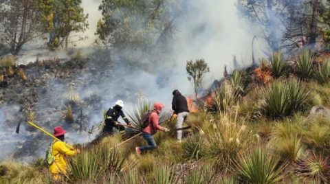 Loja and Azuay Ravaged by Ecuador’s Worst Fire Season in Over a Decade ...