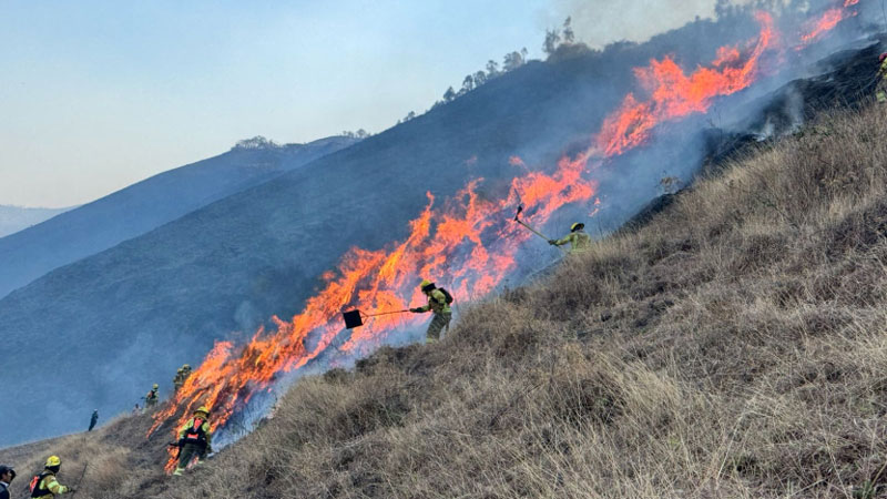 2024: A Year of Devastation and Record-Breaking Wildfires in Ecuador ...