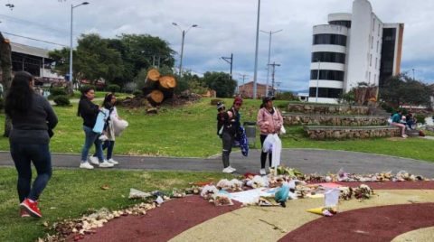 Cuenca Confronts Tree Collapse Crisis After Deadly Tragedy - The Cuenca Dispatch